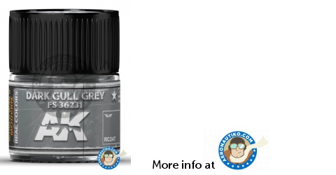 AK Interactive: Real color - Dark gull grey FS 36231. 10ml - for all ...