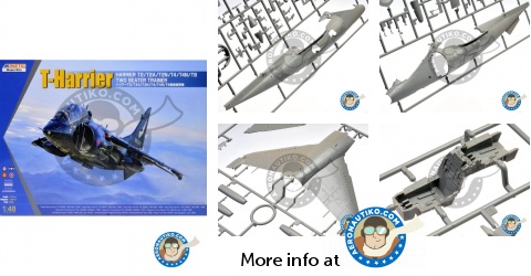 Kinetic Model Kits: Maqueta de avión escala 1/48 - T-Harrier T2/T2A/T2N ...